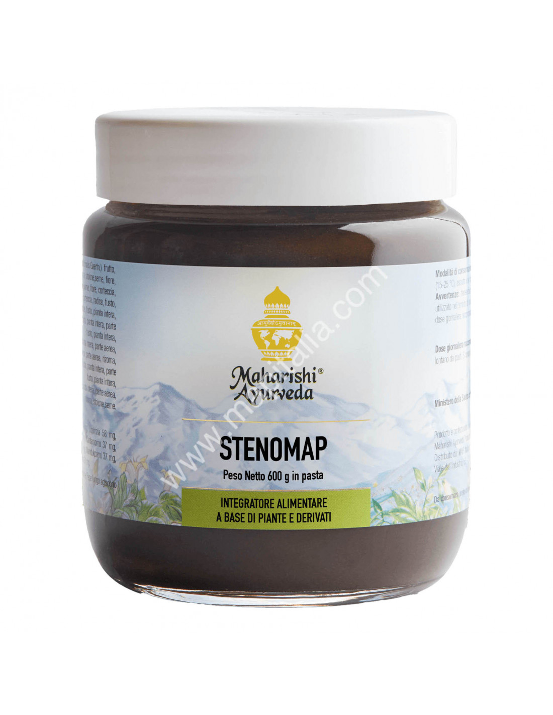 Acidità di stomaco rimedi Stenomap pasta 600 g | Granfarma